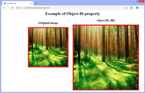 CSS Object Fit Property Javatpoint