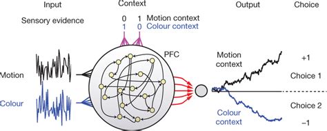 a neural network model of input selection and integration pfc is download scientific diagram
