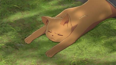 Pin by Cherry So Ciu on Fruits Basket 2019 Hoá Giải Lời Nguyền 2019