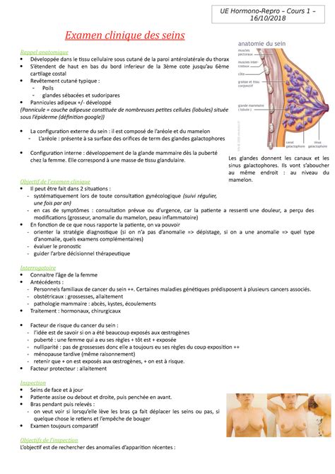 C4 Sémiologie mammaire Examen clinique des seins Rappel anatomique