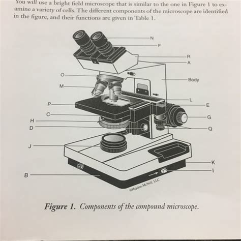Bio Lab Final Flashcards Quizlet