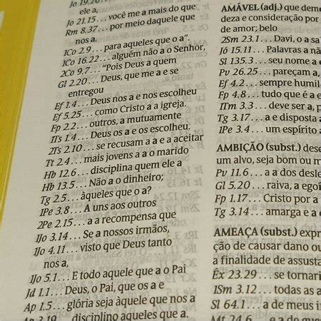 Bíblia Sagrada NVT Max Leão Índice Letra Grande Lion Color Mundo