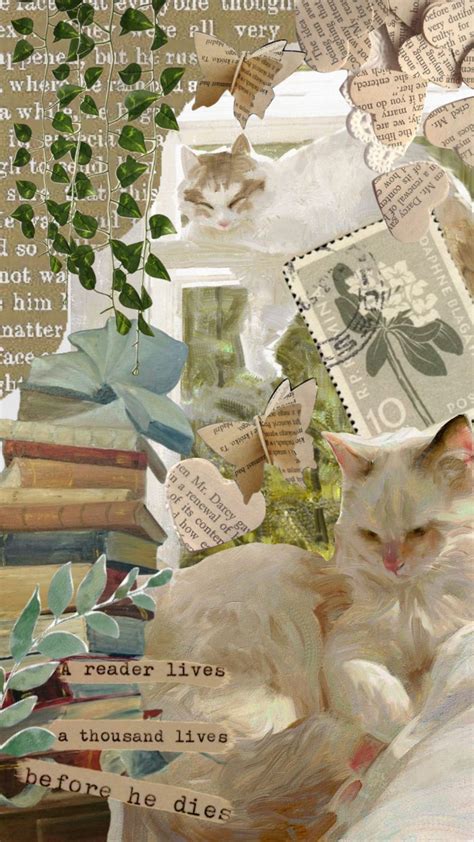 Cat Reading Collage Moodboard Aesthetic Pretty Cozy Reshuffle