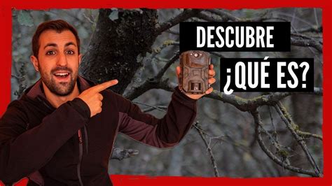 Descubre QUÉ ES EL FOTOTRAMPEO y para qué se utiliza Con vídeos de