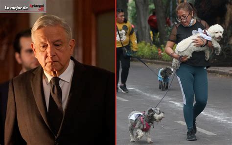 Lo Mejor De Aristegui En Vivo Cort S Amlo Debe De Tener Pesadillas
