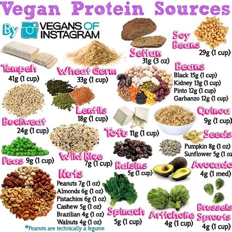 Fuentes de proteínas vegetales en la dieta vegana y vegetariana