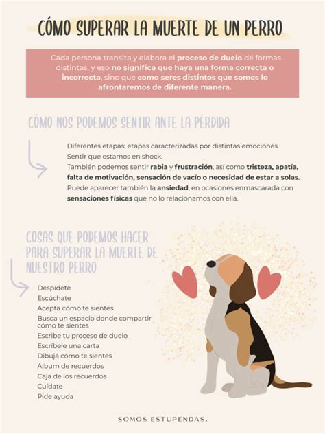Cómo superar la muerte de un perro Somos Estupendas