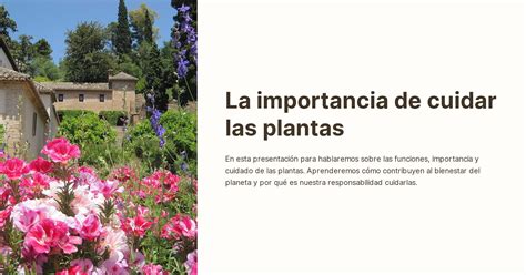 La Importancia De Cuidar Las Plantas