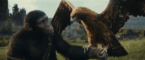 Photo du film La Planète des Singes Le Nouveau Royaume Photo 29 sur