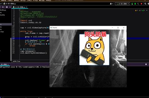 【opencv学习】02 对视频进行操作 opencv操作视频 csdn博客