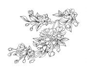 Coloriage fleurs à imprimer Dessin fleurs