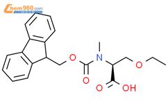N 9H 芴 9 基 甲氧基 羰基 O 乙基 N 甲基 L 丝氨酸 N 9H Fluoren 9 yl methoxy