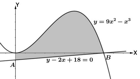 area under the curve worksheet