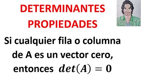 Propiedades De Los Determinantes De Una Matriz Ejercicios Resueltos