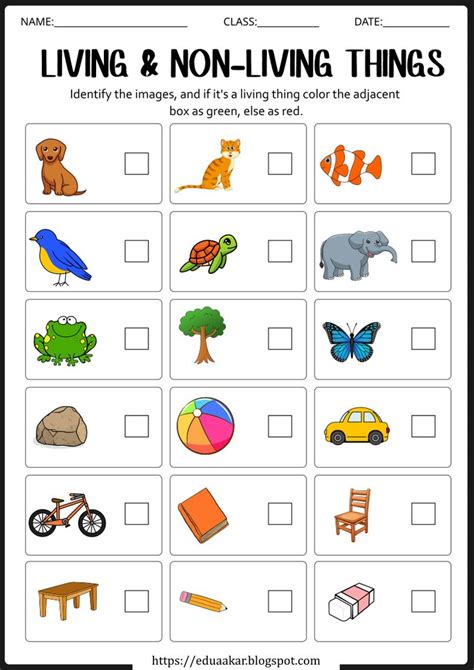 The Worksheet For Living And Non Living Things Is Shown In This Image