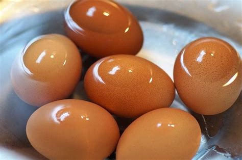 5 Manfaat Sarapan Putih Telur Rebus Protein Kualitas Tinggi Grid Health