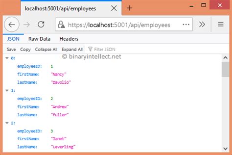minimal apis in asp core 6 binaryintellect knowledge base