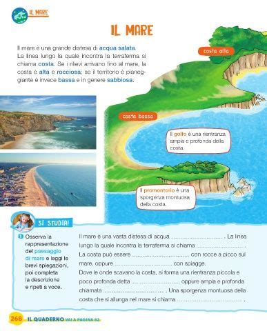 Ardea Classe Prima Storia E Geografia Schedari Operativi