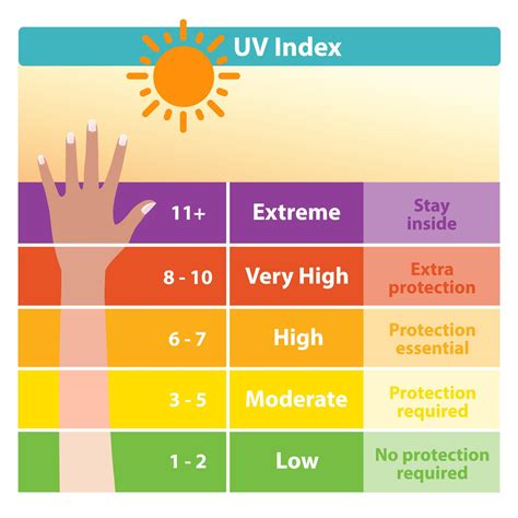 The Ultraviolet Index Chart With Tanned Skin Vector UV Index Scale