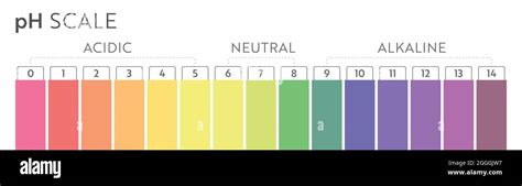Graphique de l échelle de pH Infographie sur l équilibre acido basique