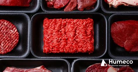 La Importancia Del Consumo De Carne Y Sus Derivados En Nuestra Salud