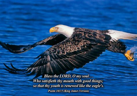 Psalm 103 5 The Fellowship Site