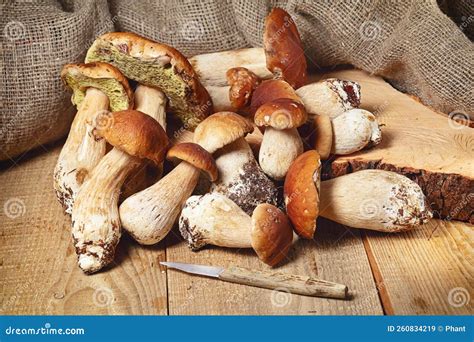 Fresh Picked Porcini Mushrooms Boletus Mushroom Ceps On Wooden Table