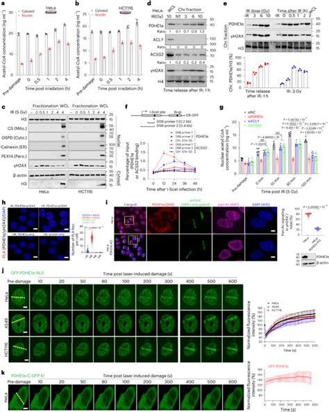 Nat Struct Mol Biol Dna