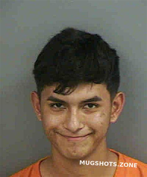 ESTRADA ISRAEL 06 19 2021 Collier County Mugshots Zone