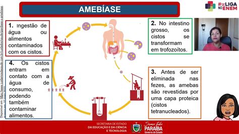 Biologia Doenças de veiculação hidrica Juliana YouTube