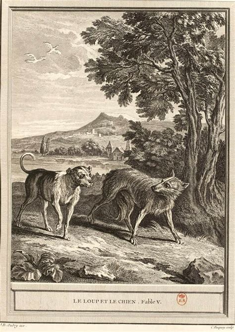 Le Loup Et Le Chien Fable De Jean De La Fontaine Fables De La Fontaine