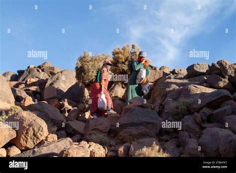 Montagne Aride Hi Res Stock Photography And Images Alamy