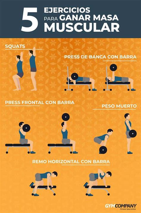 Rutina Ganar Masa Muscular En Casa