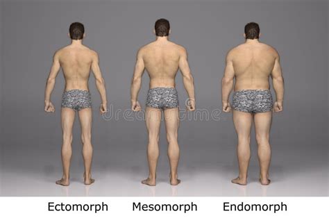 3D Rinden Tipo De Cuerpo Masculino Vista Delantera Flaca Muscular
