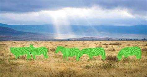 Yolact Explained Revolutionizing Real Time Instance Segmentation