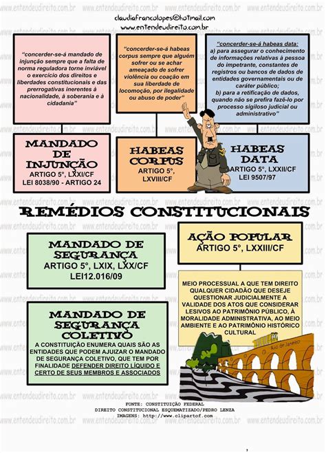 Quais Remédios Constitucionais São Gratuitos