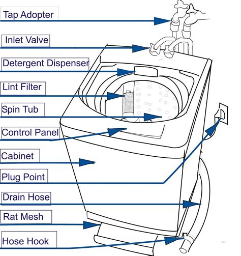 Understanding The Basics Of Washing Machine P Trap Setup