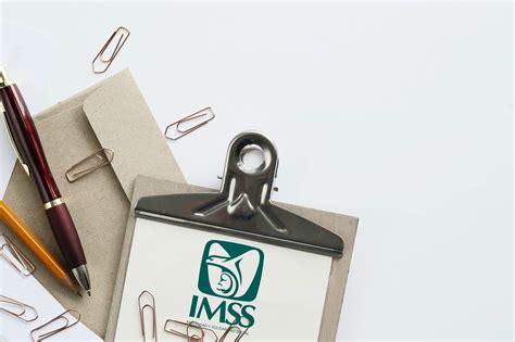 Realizar el alta en el IMSS en 2024 Guía rápida actualizada