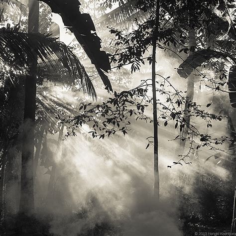 Sepia Garden By Hengki Koentjoro Photography Digital