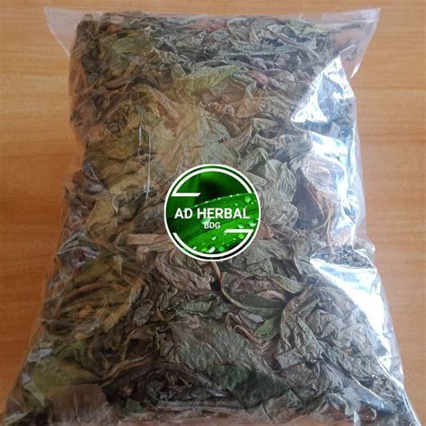 Daun Tempuyung Kering Per 1 Kg Lazada Indonesia
