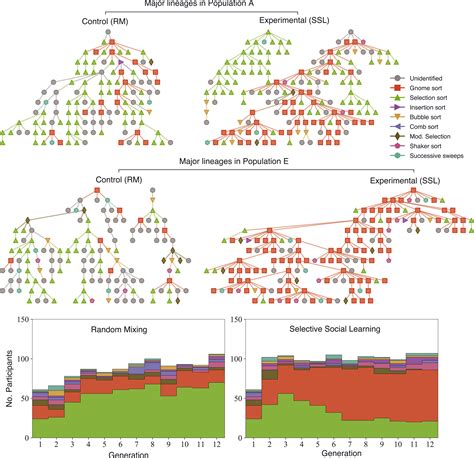complex cognitive algorithms preserved by selective social learning in experimental populations