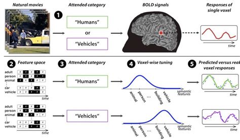 bilkent eee computational neuroscience