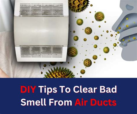 How To Get Rid Of Mold In Air Ducts KleenAir