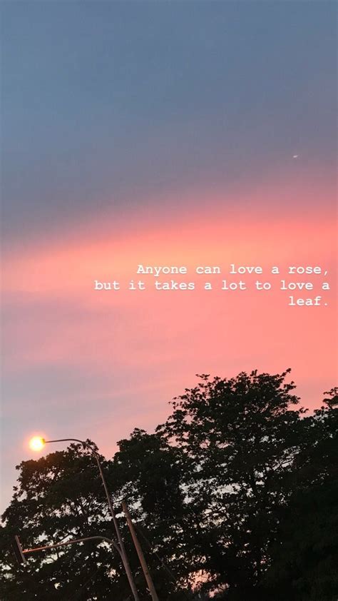 32 Instagram Caption Kata Kata Aesthetic Bahasa Inggris Dan Artinya