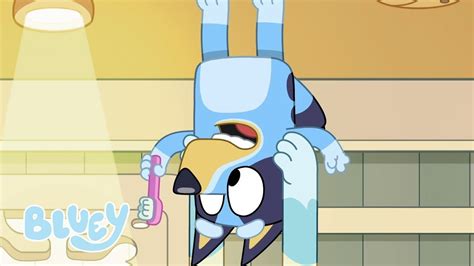 Babá em Dobro Episódio completo Bluey Português Brasil Canal