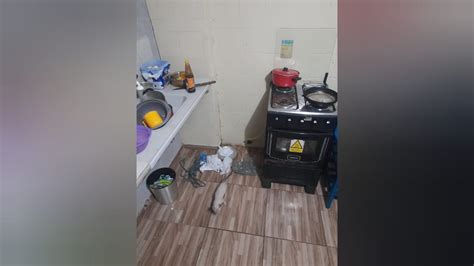 Após alarde de cachorro PM é acionada e prende suspeito de furto