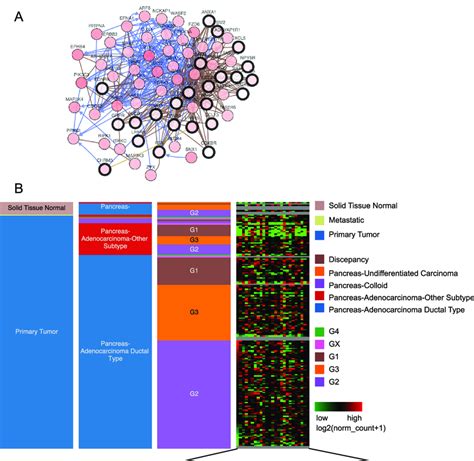 Interaction Network And Biological Process Analysis Of Hub Genes