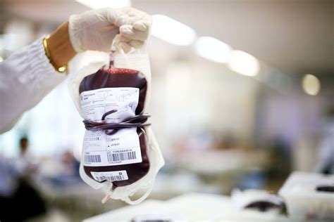 Dia do Doador de Sangue saiba quais são os requisitos para doar
