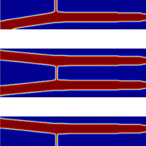 a conventional pde filter with homogeneous neumann boundary conditions download scientific