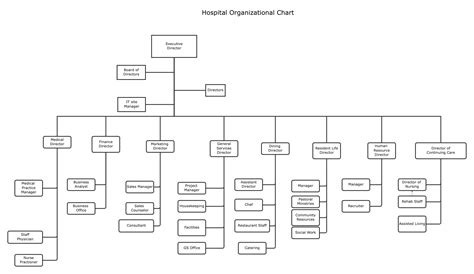 Hospital Organizational Chart Template Edrawmax Templates